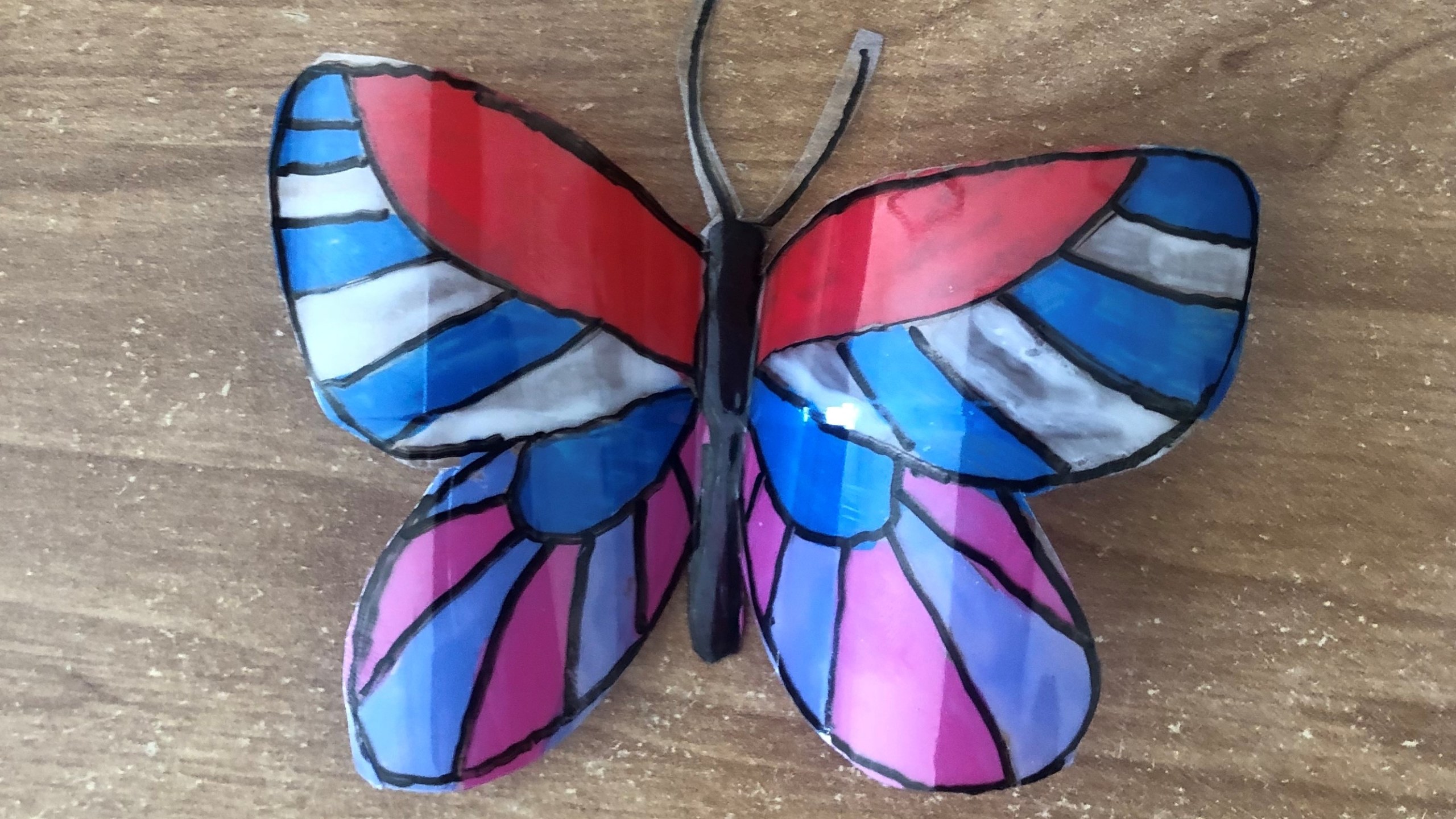 Make your own butterfly at home - Mary Frances Trust